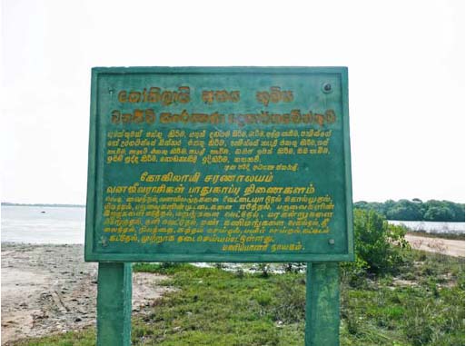 කෝකිලායි කළපුව ‛‛මළ කළපුවක්’’ බවට පත් වේද..? – Vikalpa